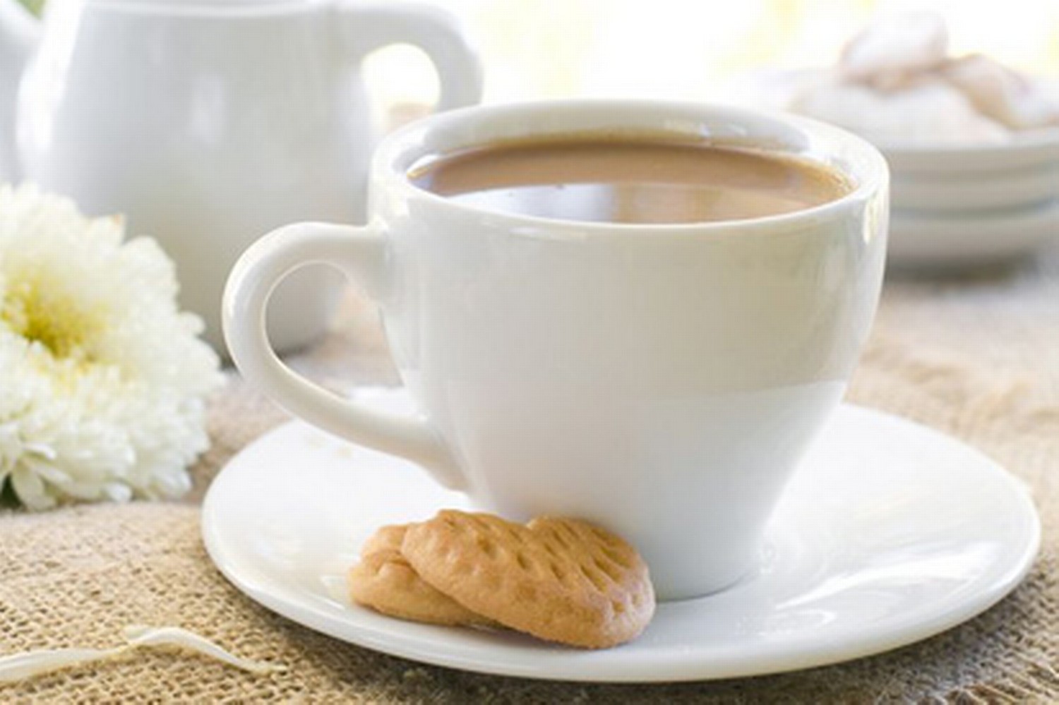 Ontmoeten wij elkaar een keer onder het genot van een kopje koffie of ...